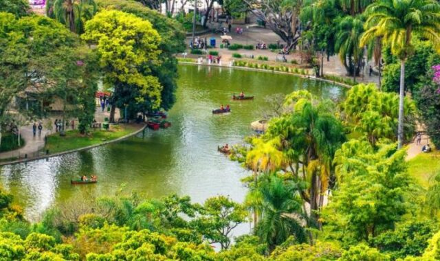 ELSA-Brasil lança boletim comemorativo ao dia do Meio Ambiente ...